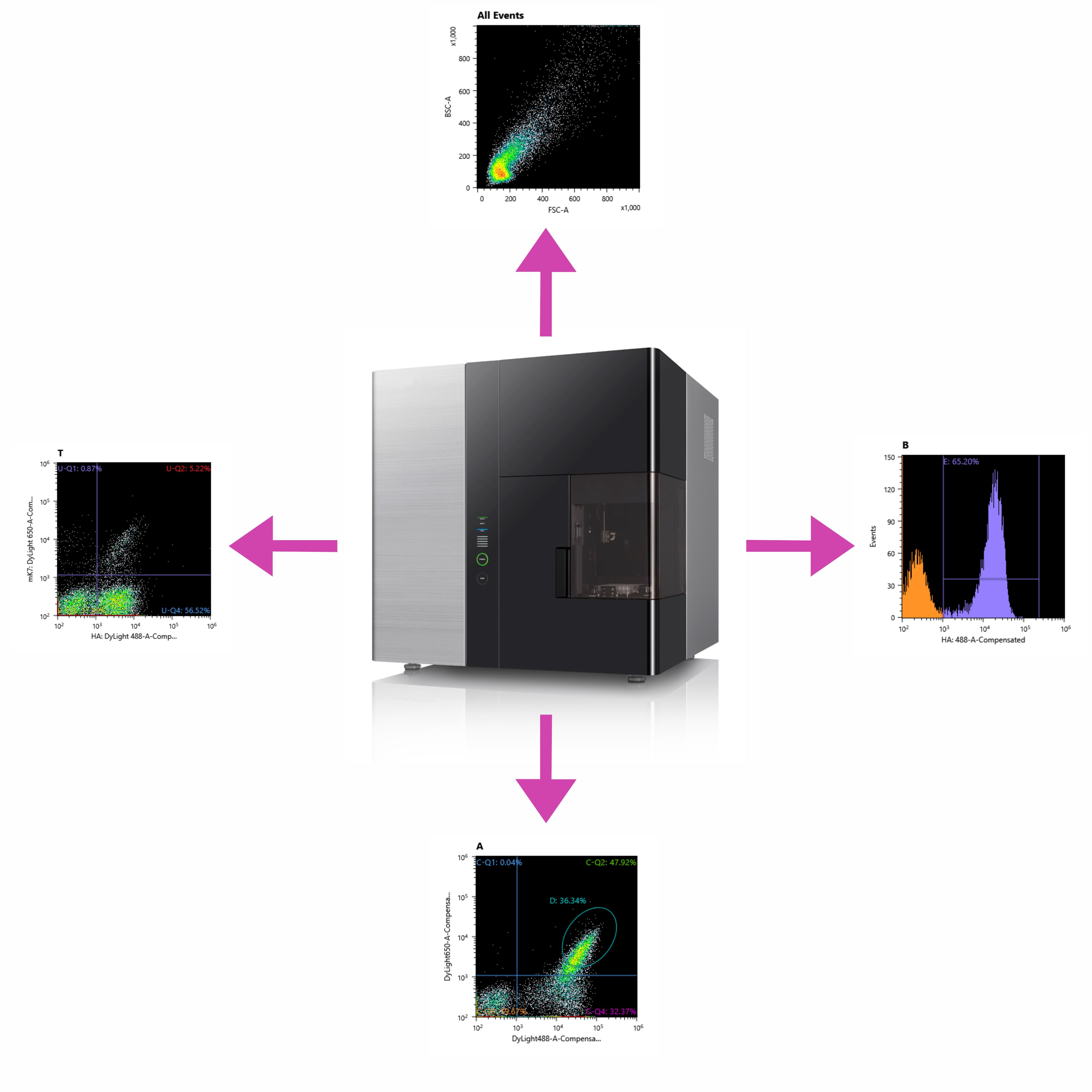 Flow Cytometry Antibody - AlpVHHs